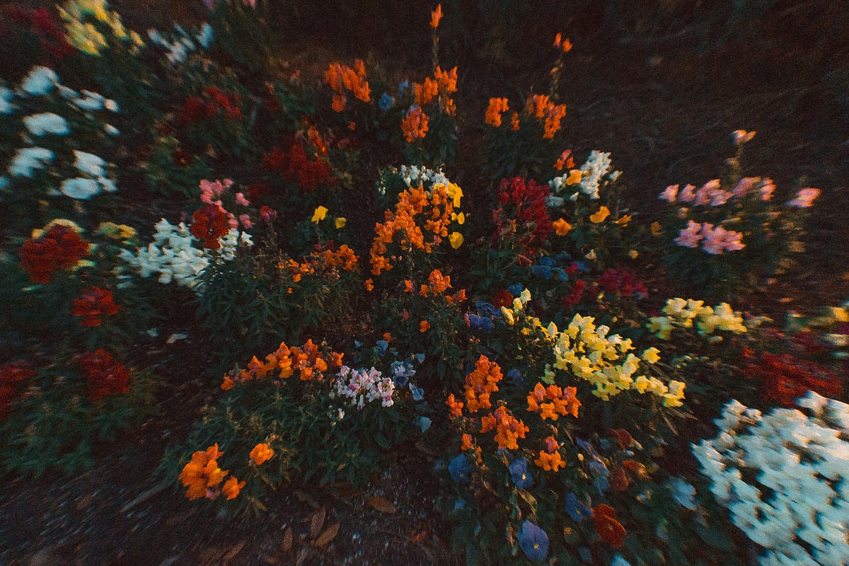 A Garden of Talking Flowers. Take a pause, leave your screen, and… | by ...