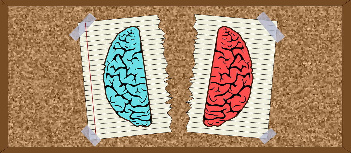 Rationalising the status quo: What splitting the brain reveals about ...