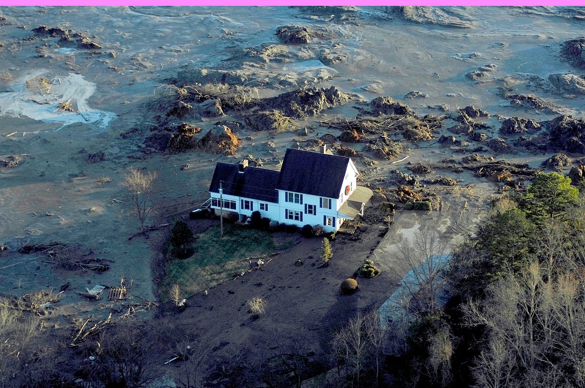 “Everything That Had Been Alive Was Buried” | by Rachel Cernansky ...