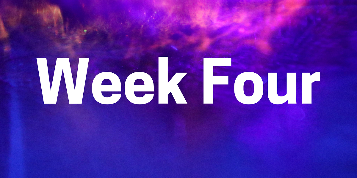 Week Four Update. Hey! You have stumbled across a page in… | by Katie ...