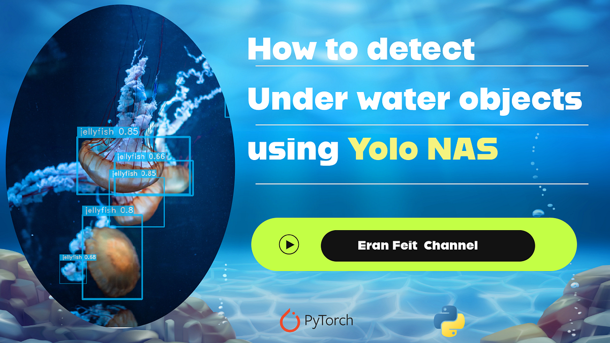 How to Train Yolo Nas on Custom Dataset (Aquarium) | by Eran Feit | Object Detection tutorials ...