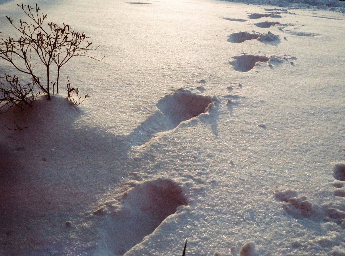 5 Key Questions for Mindful Self-Reflection and True North Alignment ...