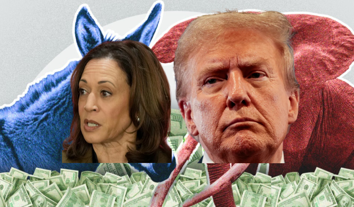 You’re Doing it Wrong. The Guide for 2024 Election Investing. | by ...