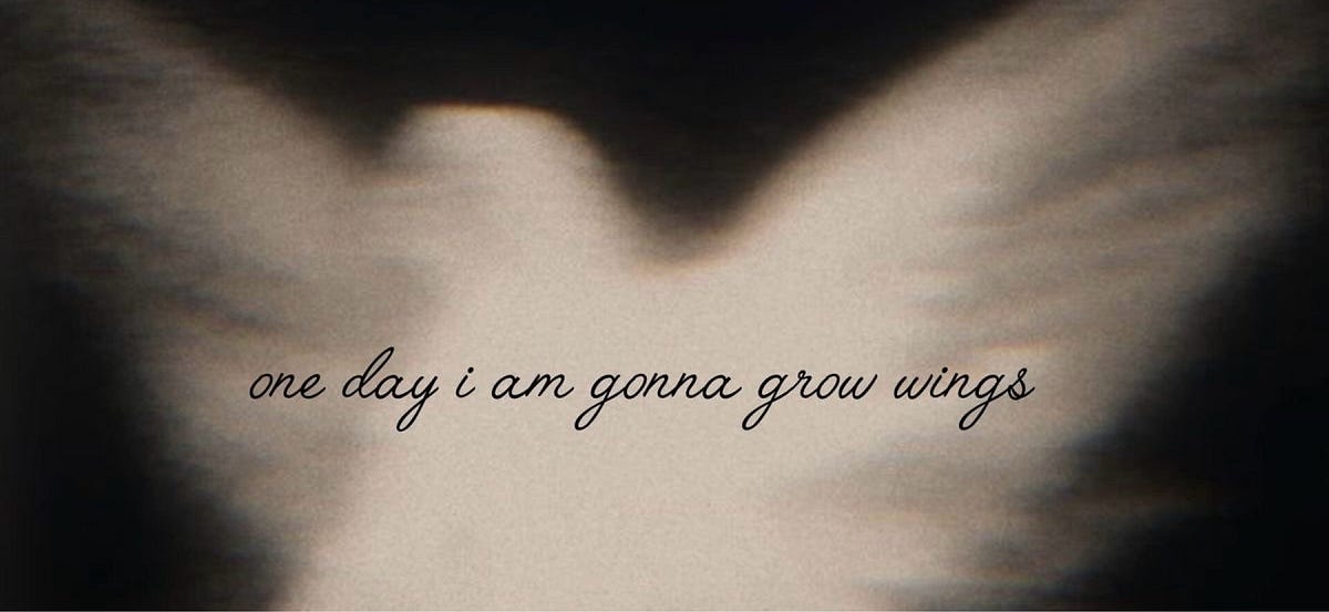 one day i am gonna grow wings. in means of academics. | by khate | Jul, 2025 | Medium