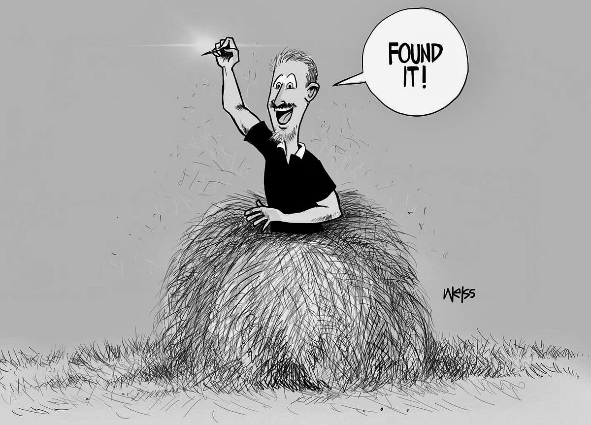 Surprise! You Are the Needle in the Haystack | by John Patrick Weiss ...