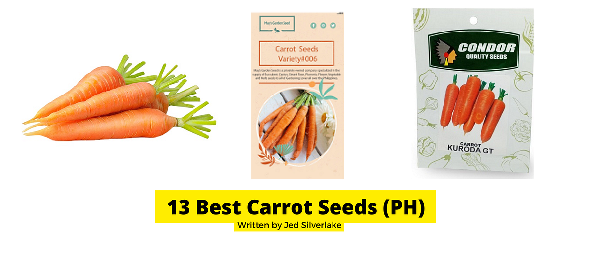 13 Best Carrot Seeds Philippines 2022 (w/ Free Discount) | by Ibong ...