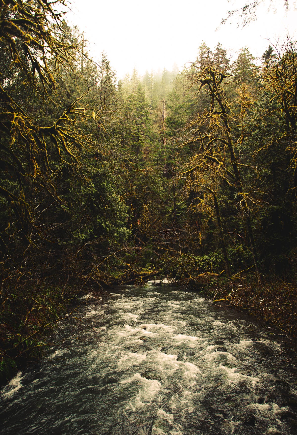 Dodging Raindrops. Last weekend was wrought with rain all… | by Brandon ...