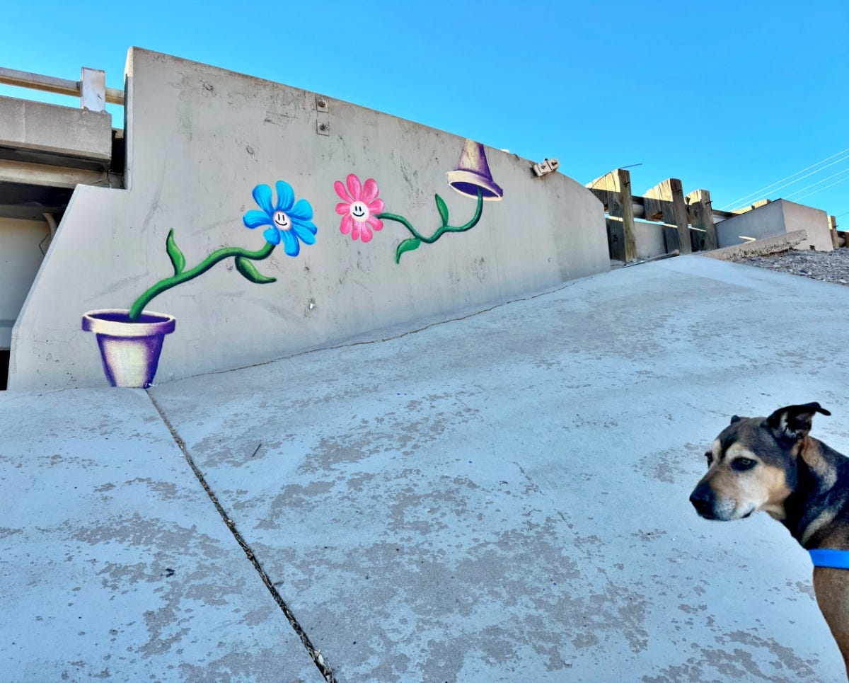 Smiling Daisies: On-ramp art in the Metro | by MetroABQ Newsletter | Medium
