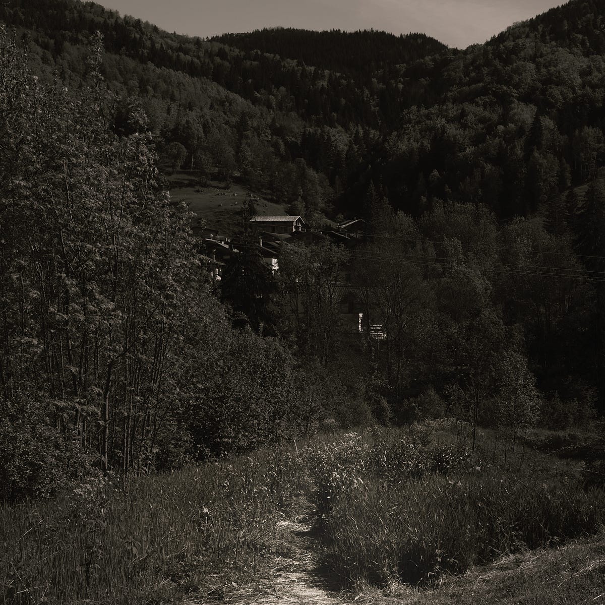 The Path That Led Somewhere, But Nowhere. | by Maria Sokolowska | Medium