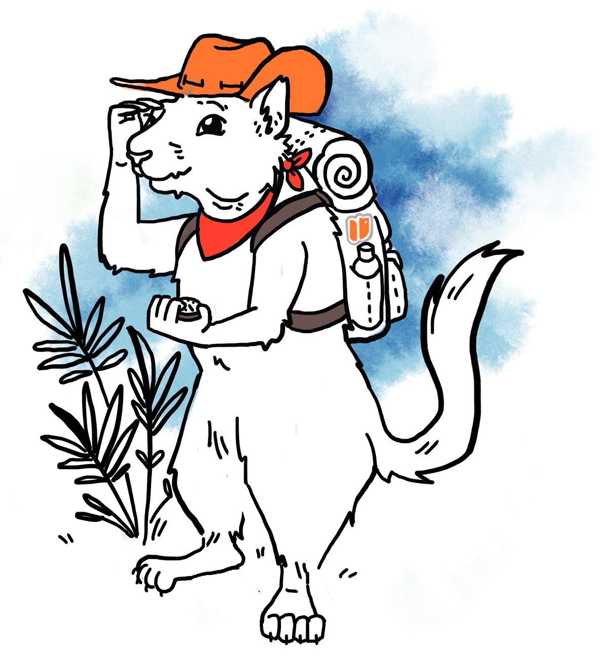 Say hello, Chipmunk!. The story of our journey so far | by Lily ...