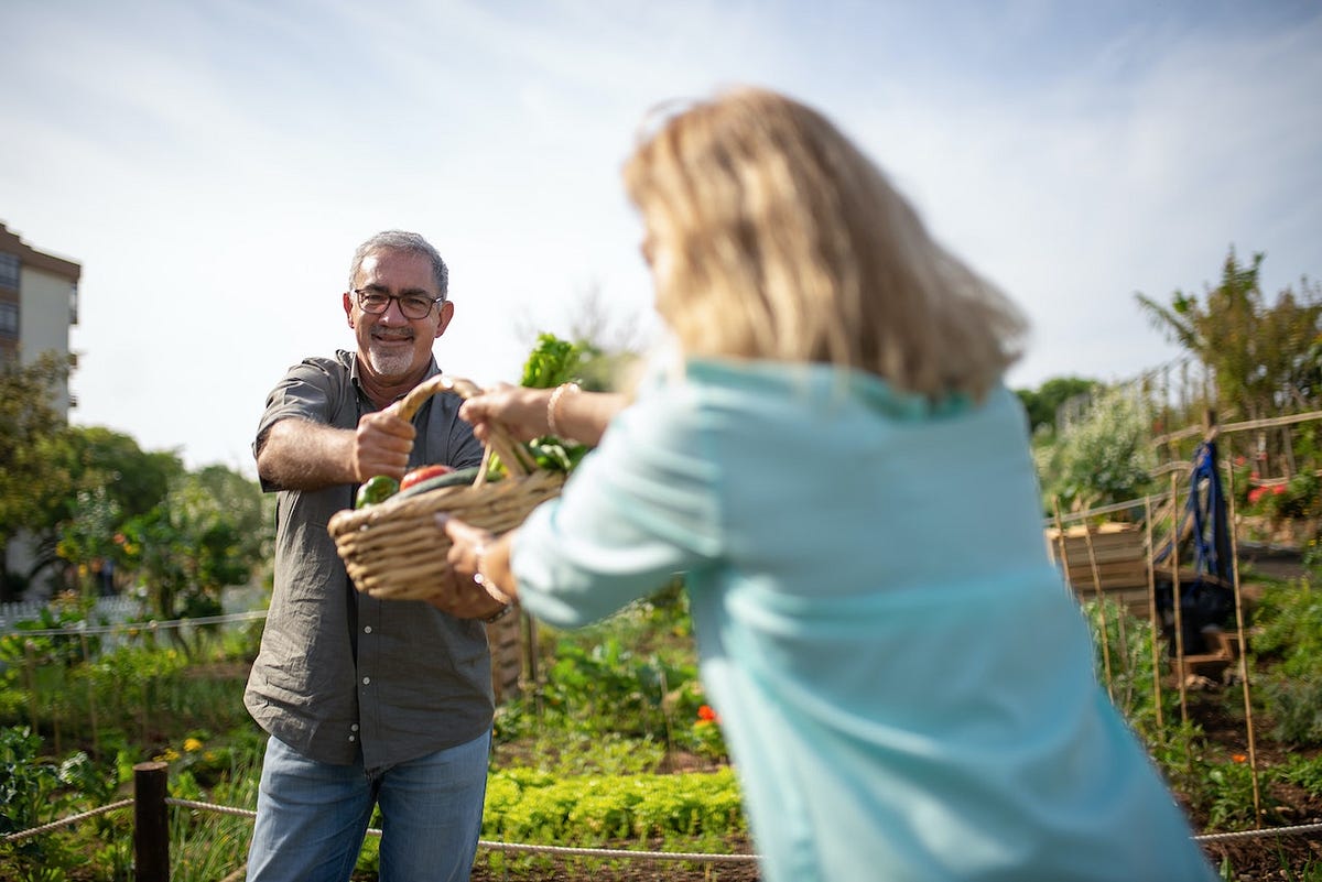 How To Hire a Landscaper - The Daily Cuppa - Medium
