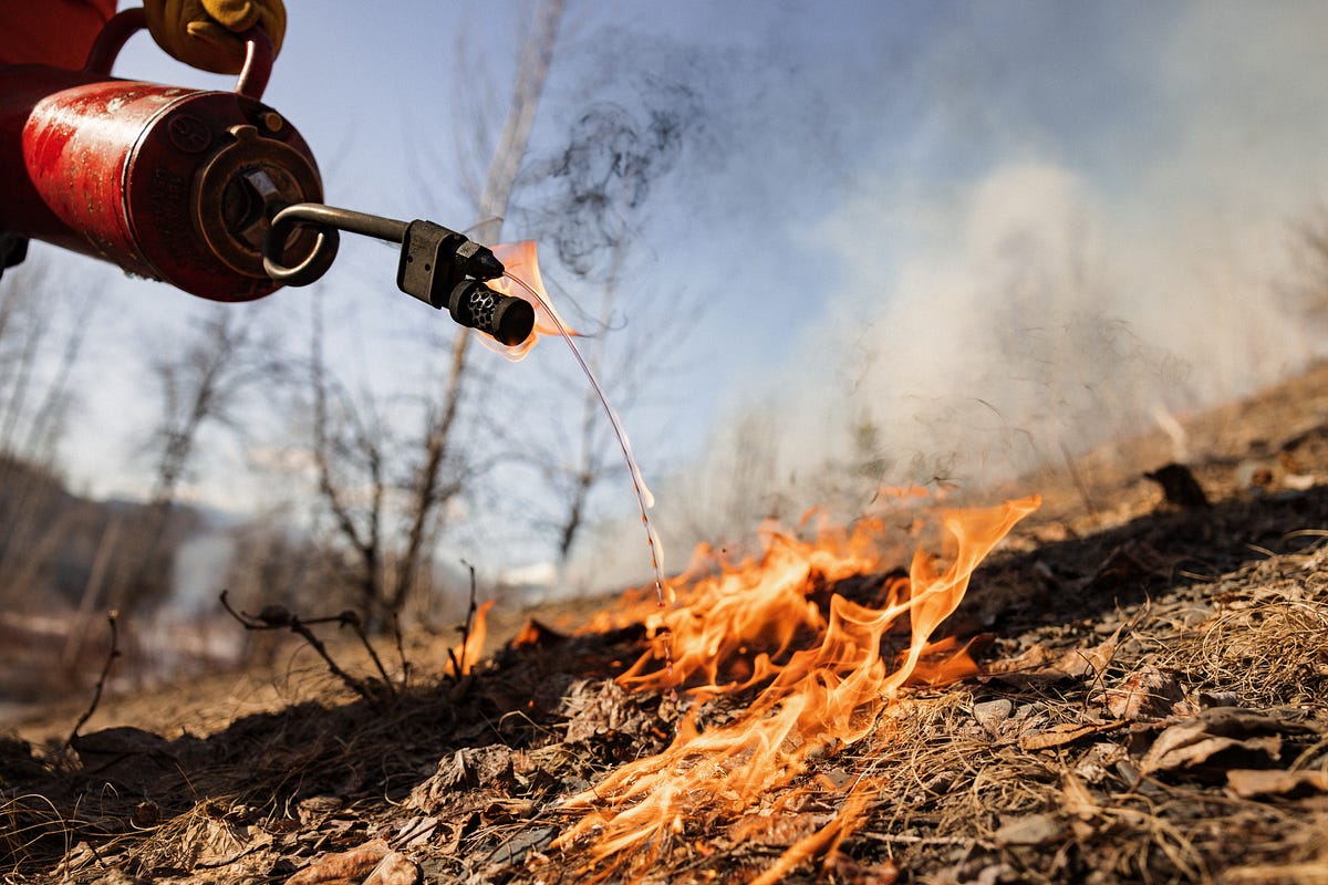 The Role of Boundary Spanners in Advancing Collaborative Wildfire ...