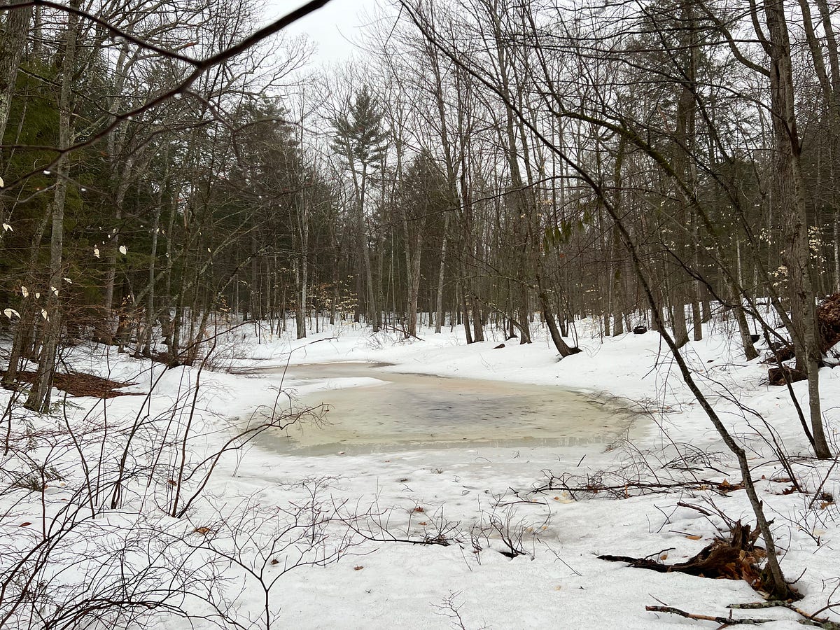 Frozen in Carbonite. Once he had completed every item on the… | by ...