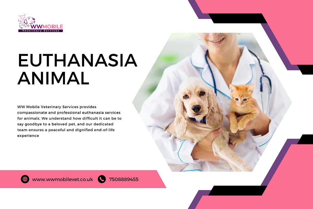 Euthanasia Cat | WW Mobile Veterinary Services | by WW Mobile ...
