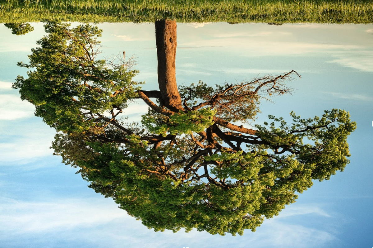 Tree Traversal Methods — Breadth First and Depth First | by Nathan D ...