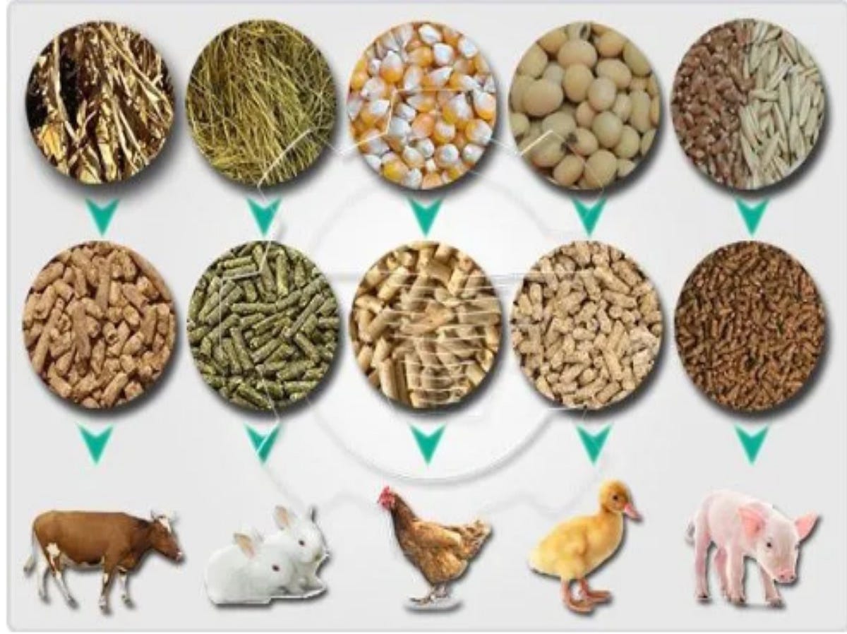 Animal Feed Ingredients Market Shows Booming Growth with Surprising Transition in Coming Decade ...