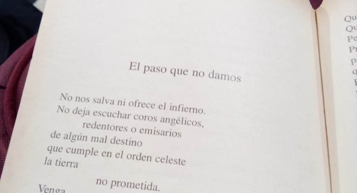 Amagos. aún sigo disfrutando de cada imagen… | by Emma Josefina🦋🌻カメロット様 ...