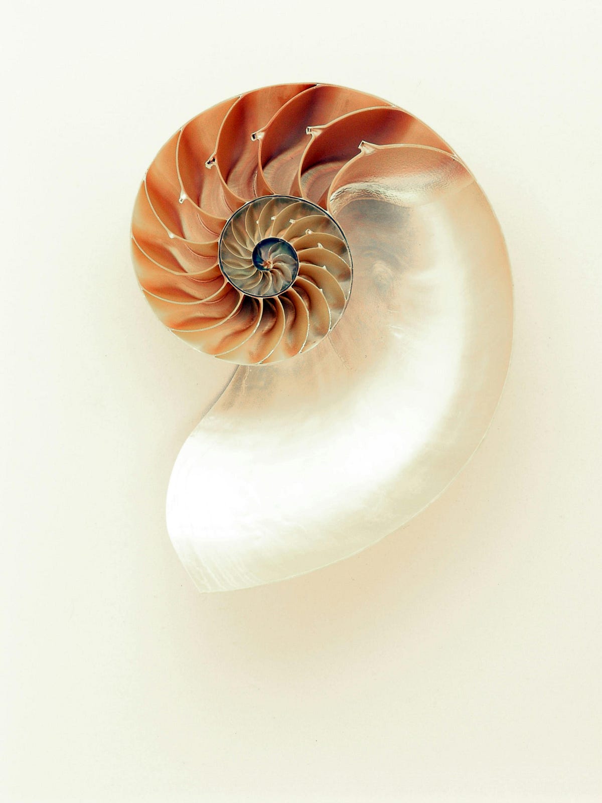 The Inner Pearl