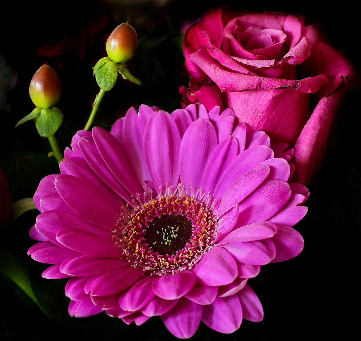 Bloom A letter to the Flower - Prerana Meher - Medium