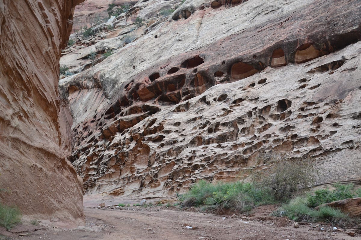 The Gospel as the Rock of Offense | by James Jordan | Spiritual ...