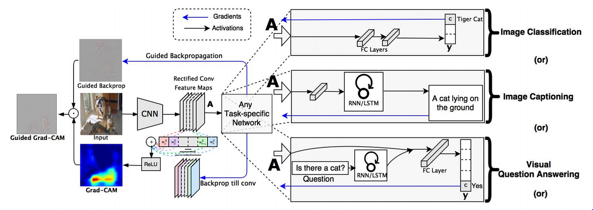 GradCAM in PyTorch. Implementing GradCAM in PyTorch | by Siladittya Manna | The Owl | Medium