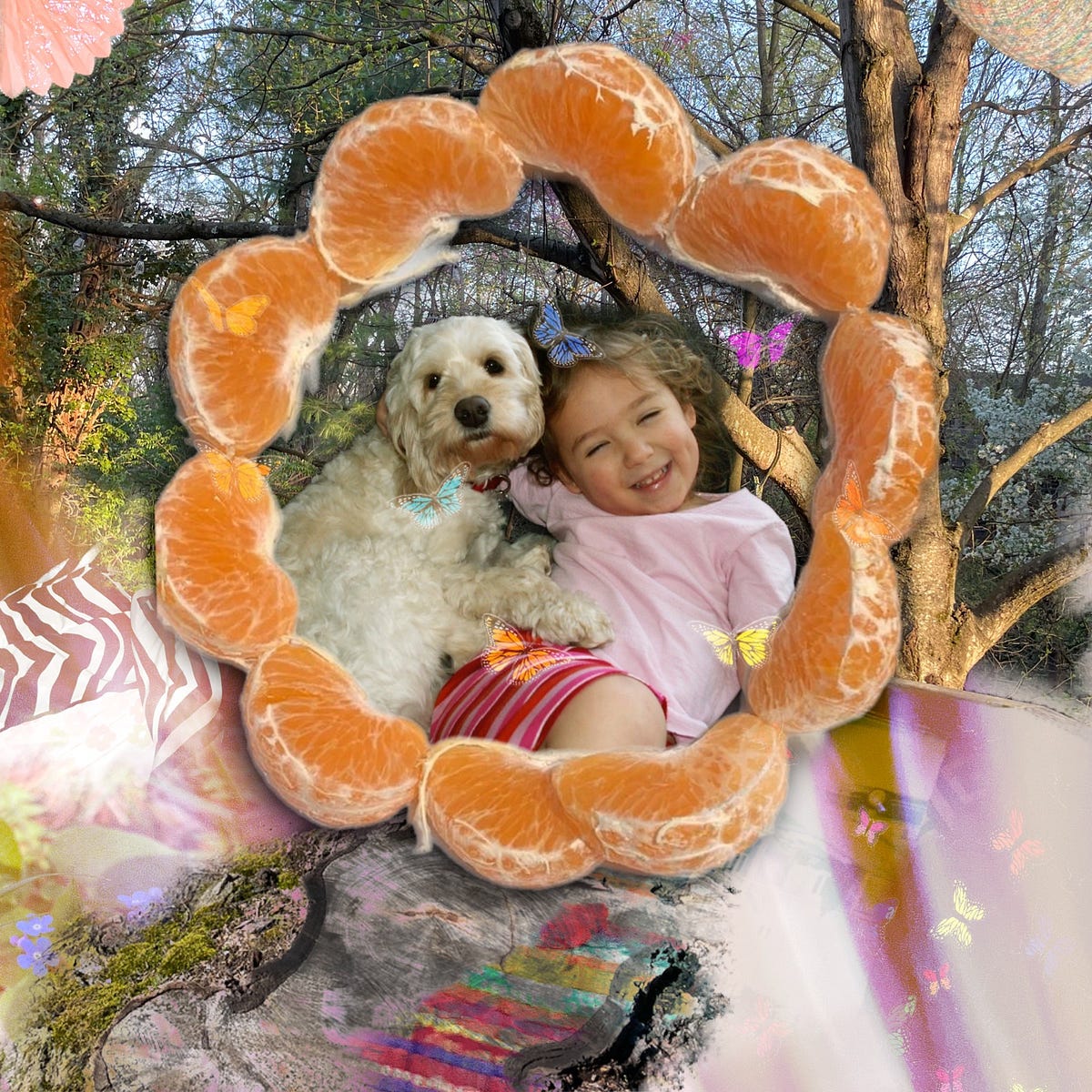 A Good Girl. Our darlin Clementine has left her… | by Donna Baker | Medium