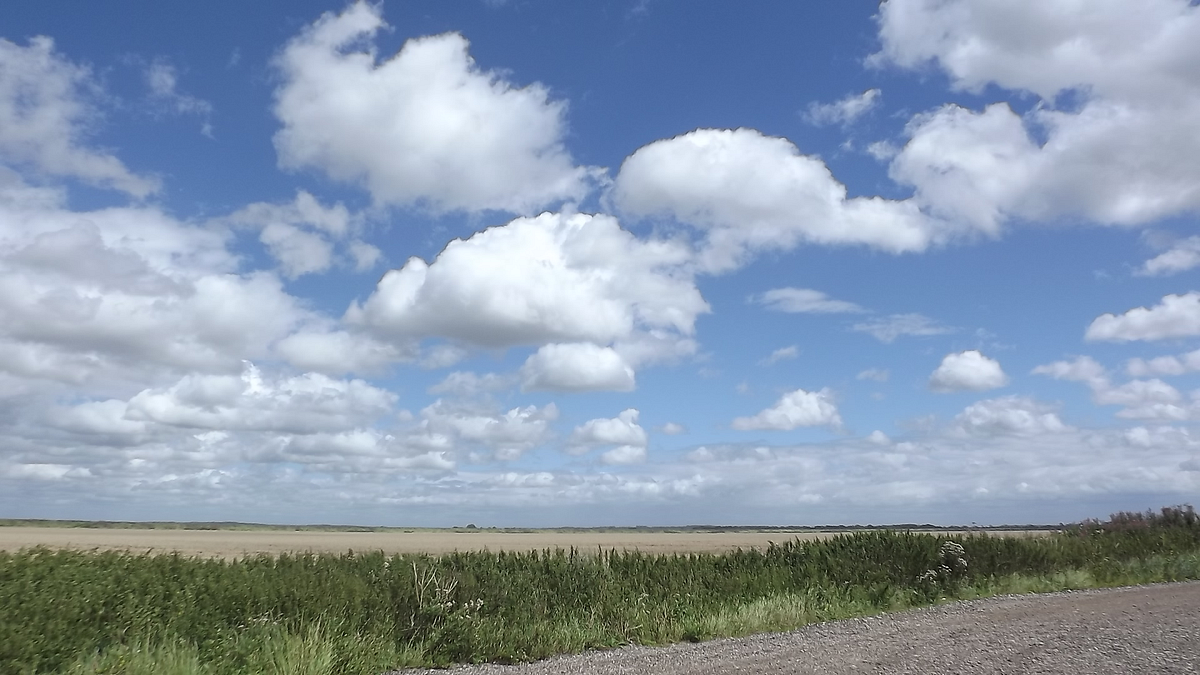 Flat Fields and Big Skies - The Daily Cuppa - Medium