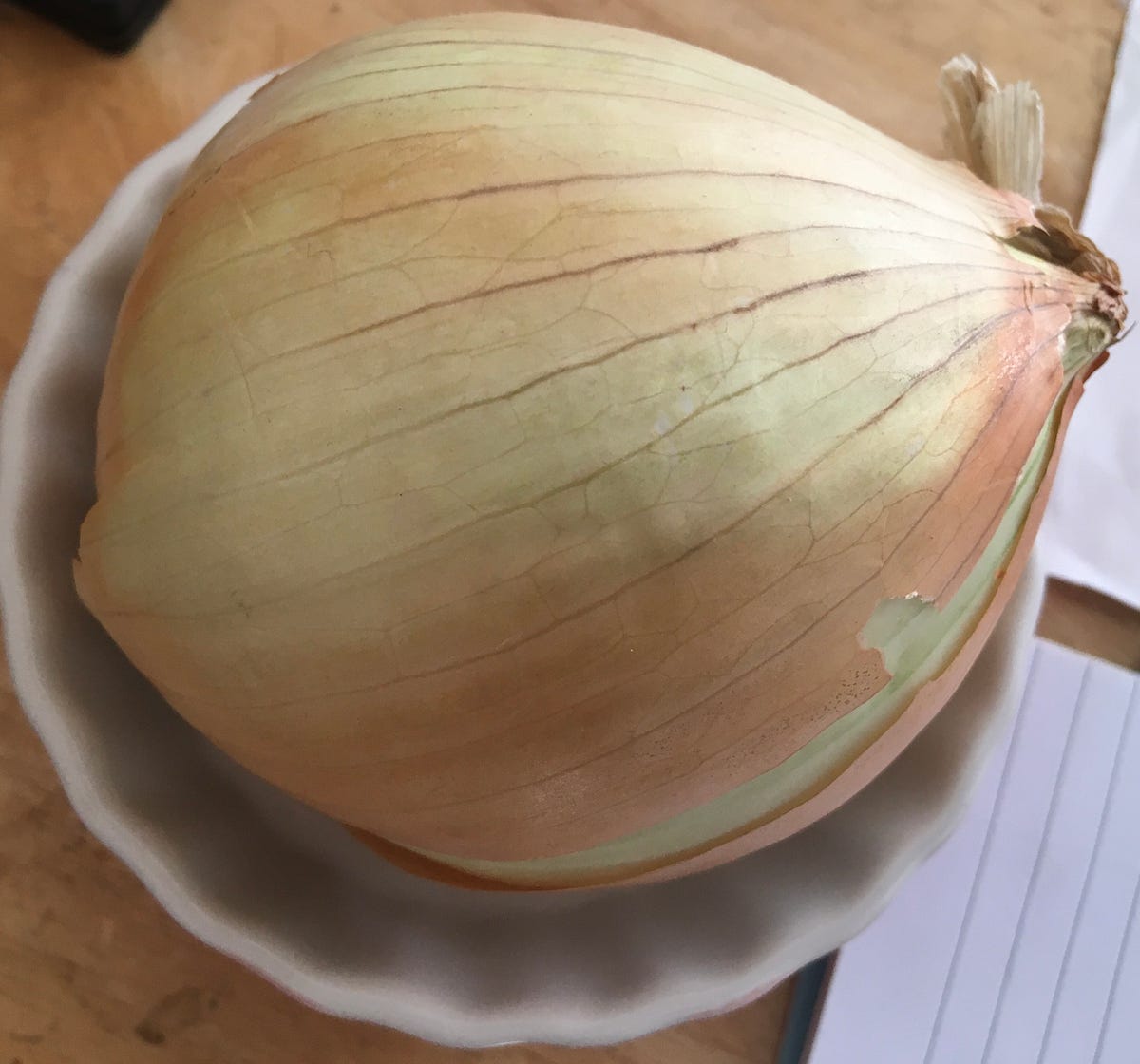2020: We Are All Onions - This Year is Exposing Our Shared ...