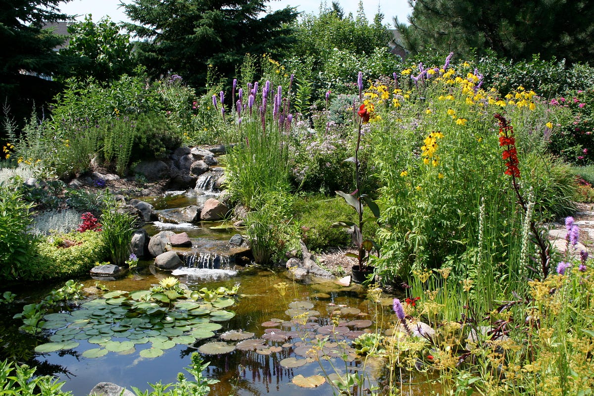 How To Create A Biodiverse Garden | by Cathleen Malone | A Lush Life ...