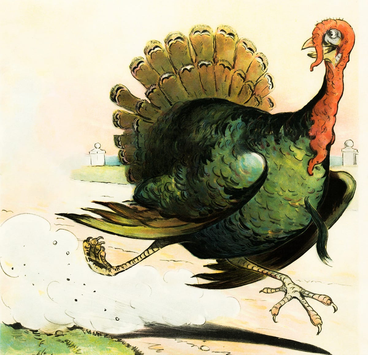 How Do You Saddle a Turkey?. Or how fast can a Turkey Trot? | by DW ...