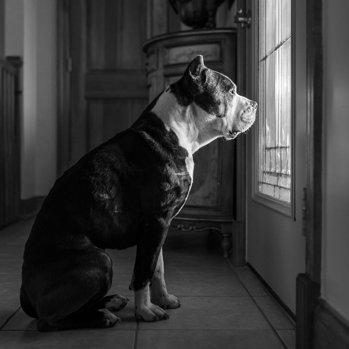 Inside Every Bully Lives a Scared Kid | by Eleni Stephanides | Bouncin ...