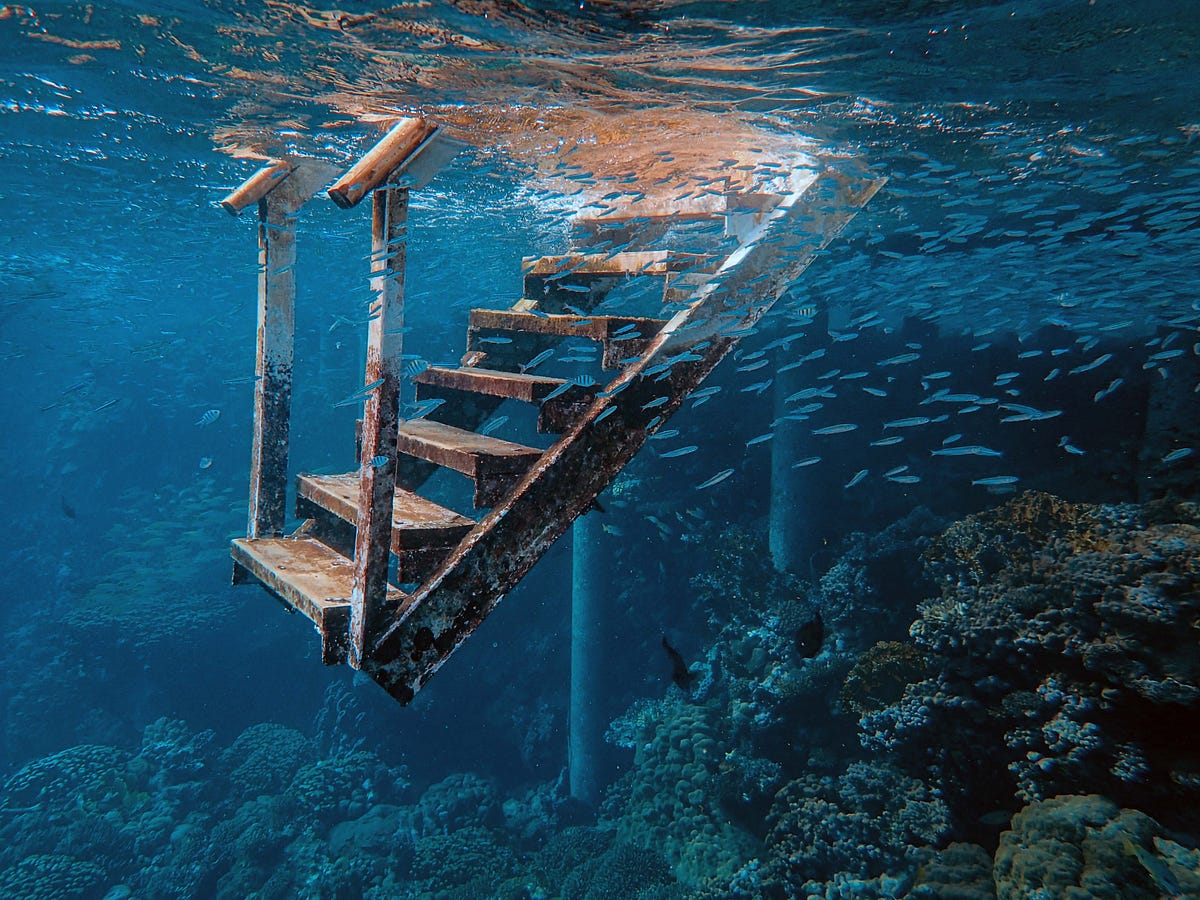 Who Invented Underwater Photography? | by Tom Whittemore | Medium