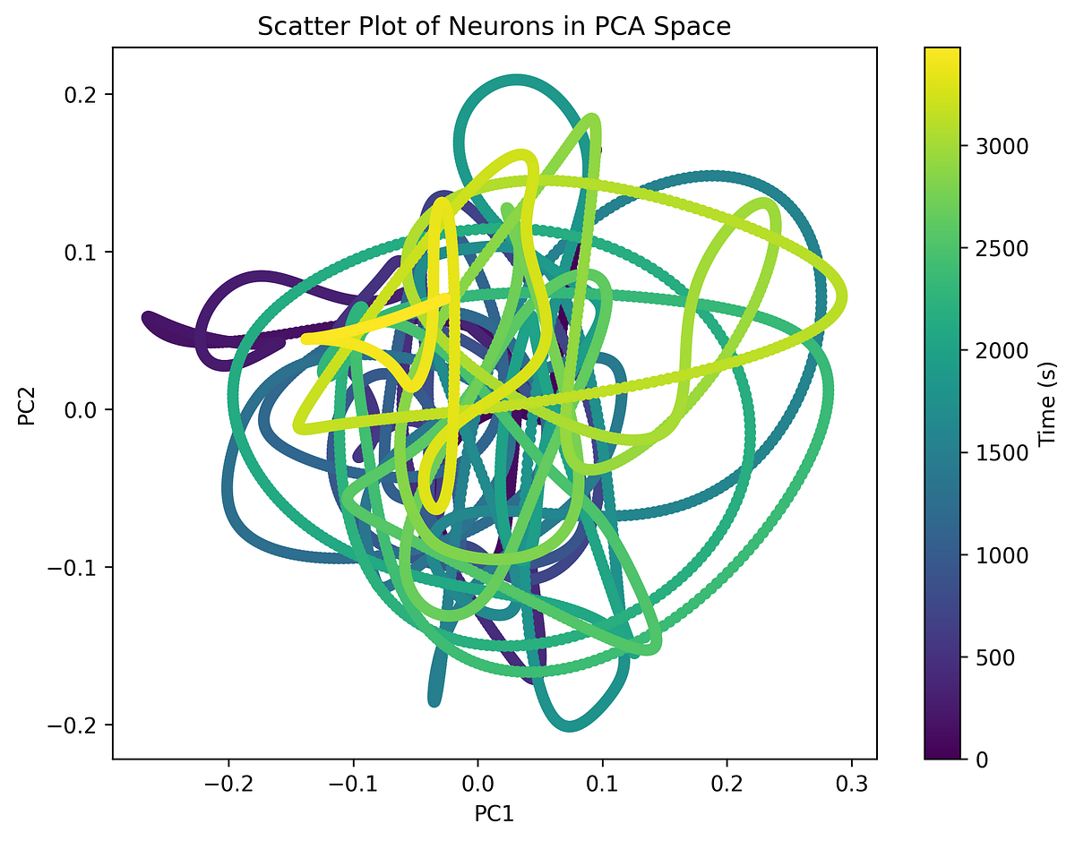 Minute-scale Oscillations in the Medial Entorhinal Cortex (MEC ...