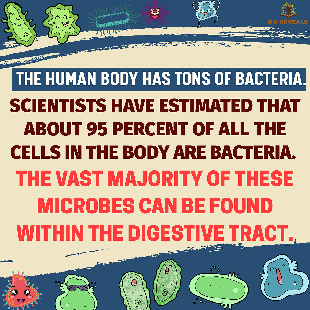 Human Body full of Bacteria | by R K Reveals | Medium