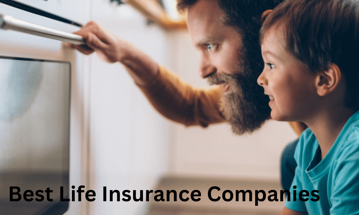Best Life Insurance Companies: Best Term, Whole, and No-Exam for May ...