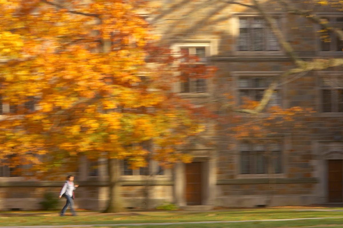 My Year in Scholastic Indentured Servitude | by Carly J Hallman | GEN