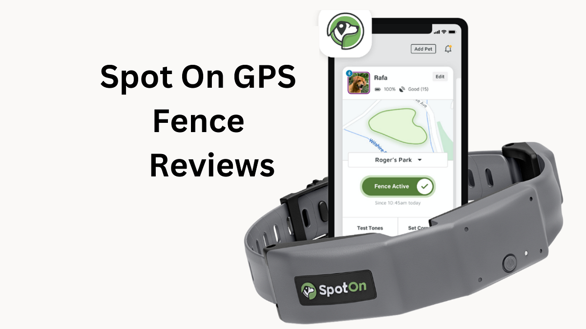 Spot On GPS Fence Reviews: Everything You Should Know | by NiceStory ...