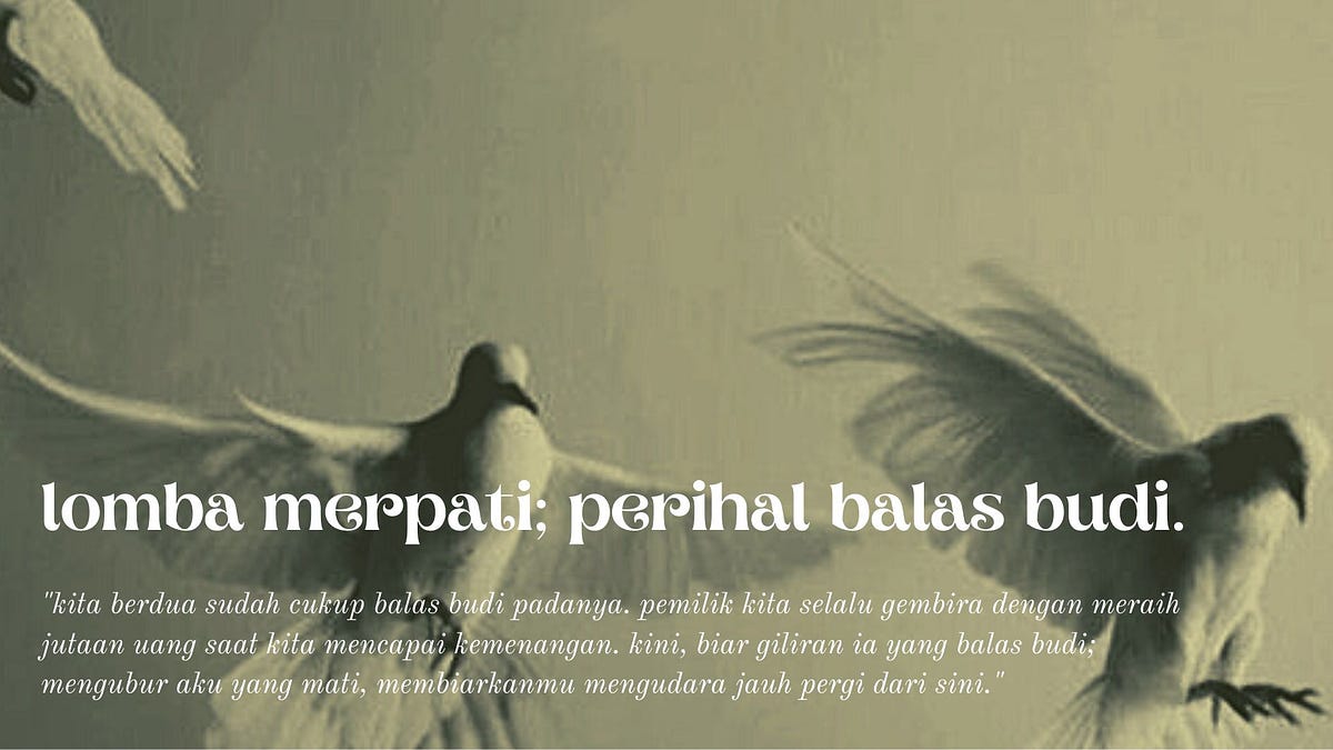 Merpati dan Balas Budi.. Dua hari selepas diserahkannya sejumlah… | by ...