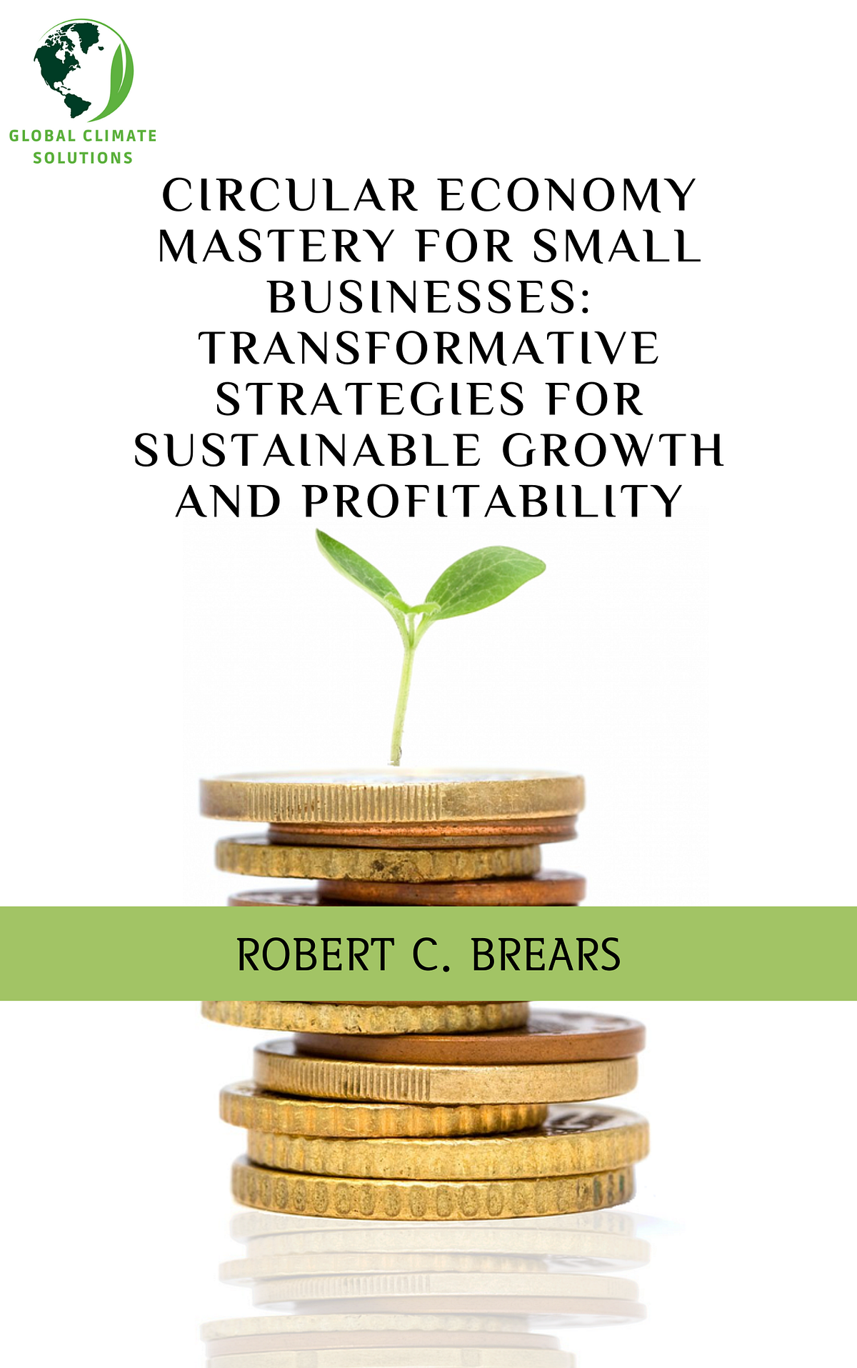 Circular Economy Mastery for Small Businesses: Transformative ...