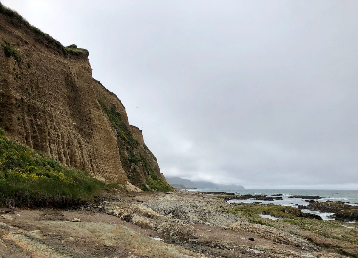 Bear Valley to Coast Camp, Point Reyes | by Fiona Foster | Bay Area ...