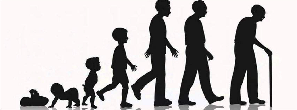 The Secret to Living Longer. Revealing how to reverse the ageing… | by ...