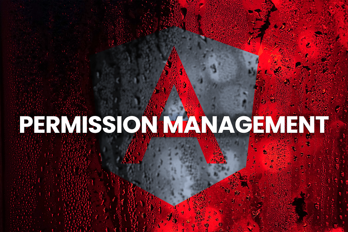 Role-Based Access Control in Angular with Nebular Security, ACL, and ...