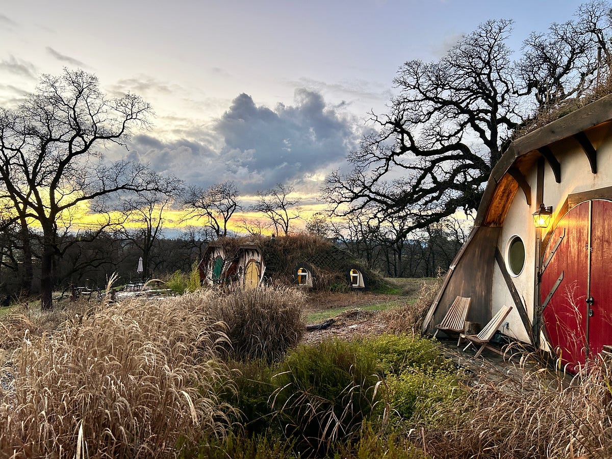 Gem’s Travels: Fresh Year — Fresh Ink, Shasta & The Shire | by Gemini ...