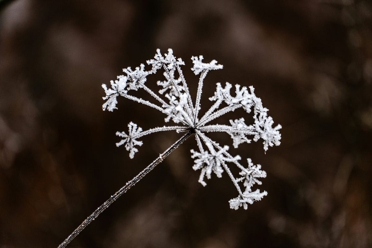 Snowflake — Beautiful Approaches of Distributed ID Generation | by ...