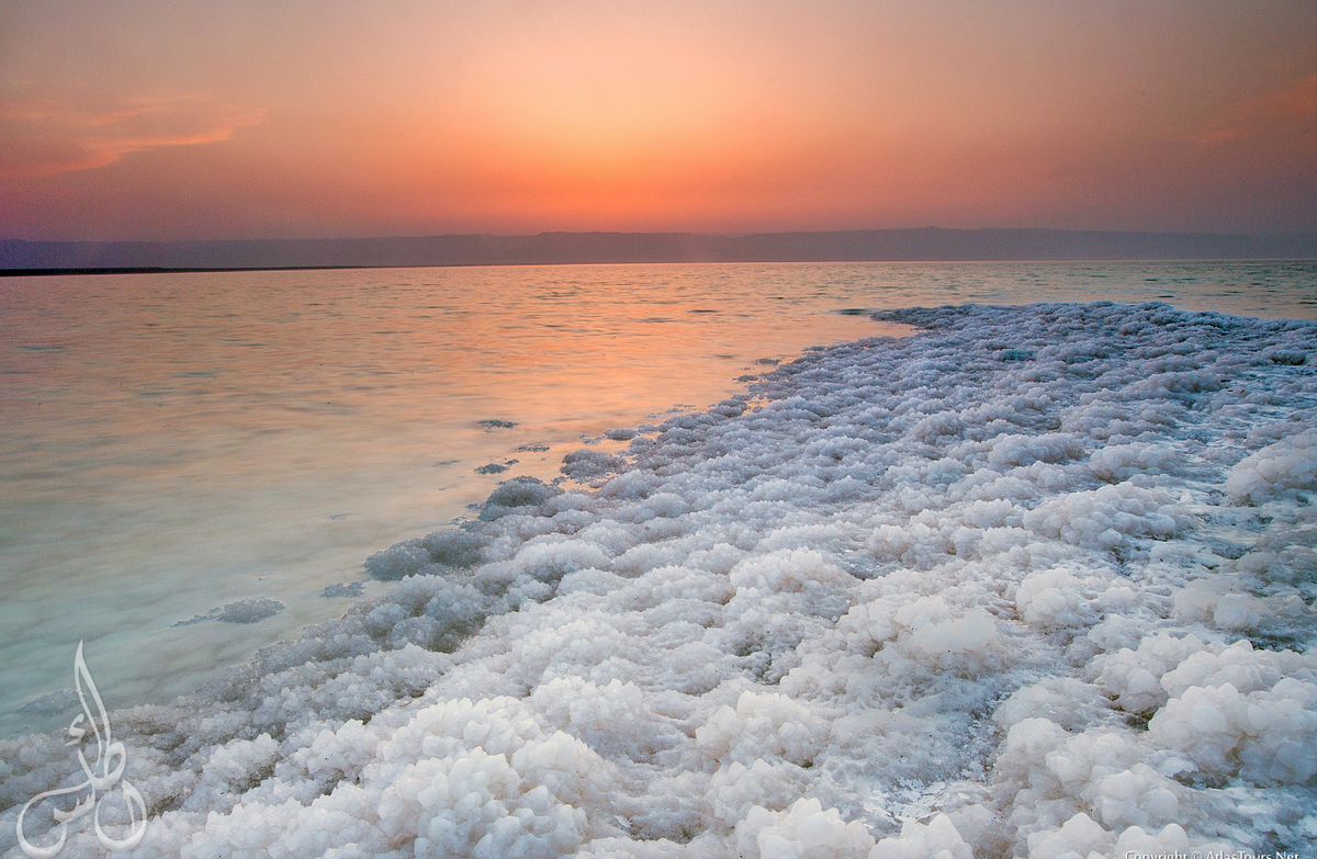 Water Scarcity. 70% of planet Earth is covered in… | by Emma Lindahl ...