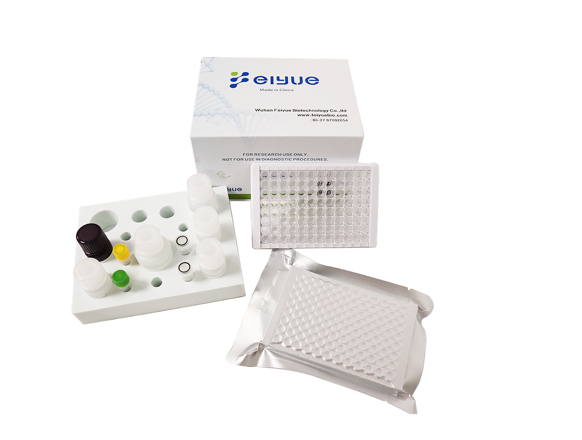 Mouse IgE(Immunoglobulin E) ELISA Kit | by feiyuebio Agnes | Medium