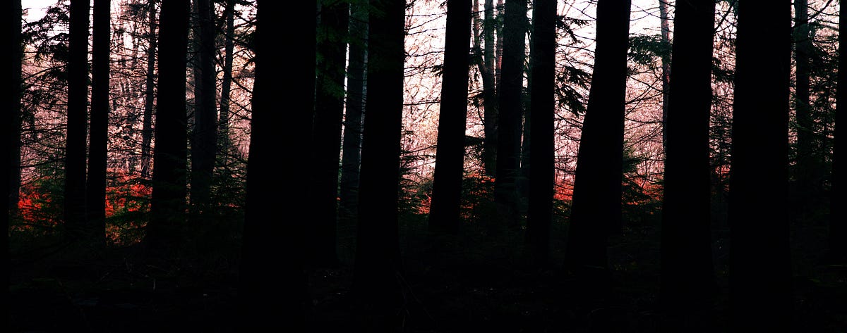 Through a Distorted Lens.. Nick has, in his usual fashion, thrown… | by ...