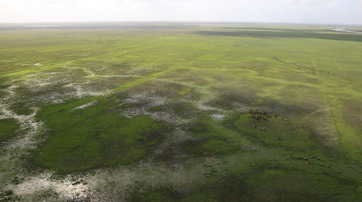 Short Film: Undiscovered Guyana. By Orijin Media | by Patrick Bova ...