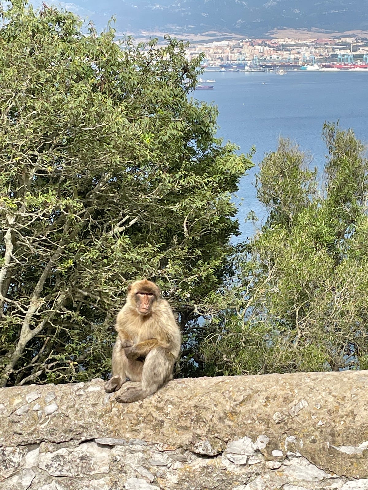 Discover the Charm of Gibraltar: A Guide to the Best Attractions and ...