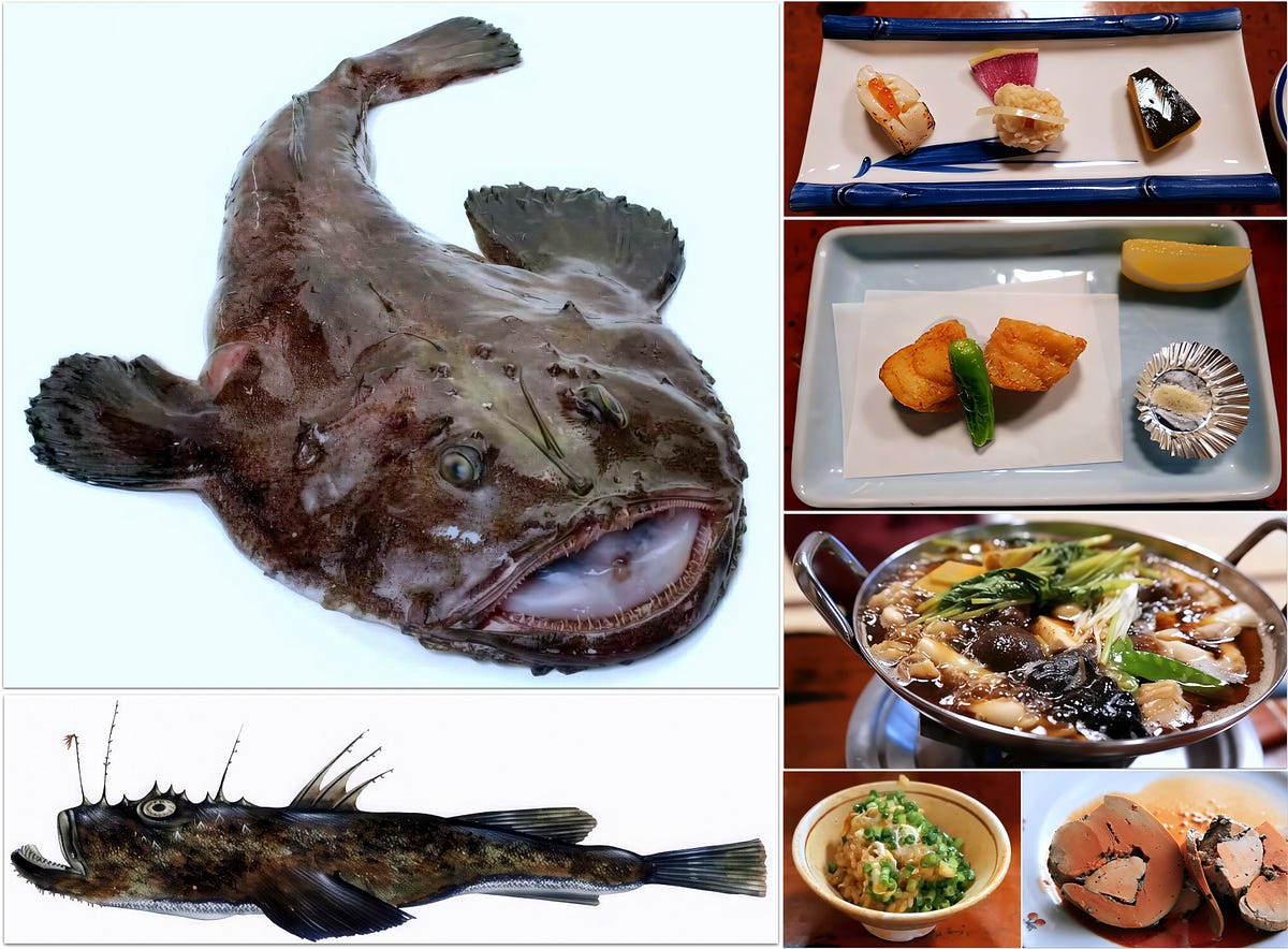 From Beast to Banquet: The Enigmatic Monkfish (Lophius piscatorius) in ...